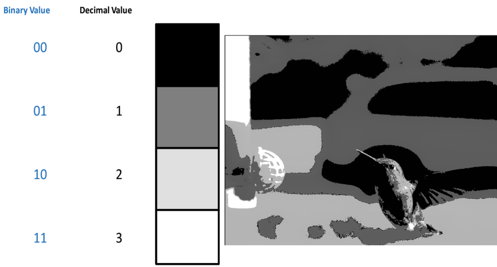 Bit Depth for High Speed Cameras | Fastec Imaging
