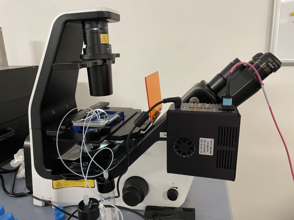 IMG_8791 | Fastec Imaging